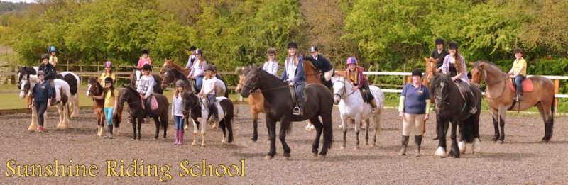 Sunshine Riding School | Horse Riding in Luton