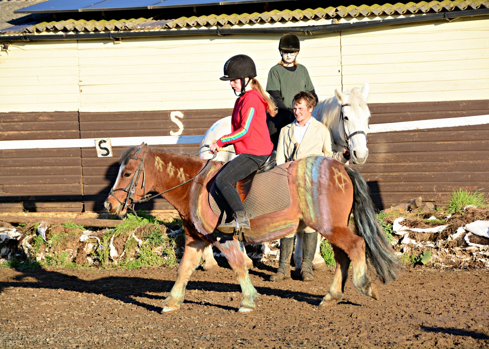 Horse Story: Pasha – Sunshine Riding School