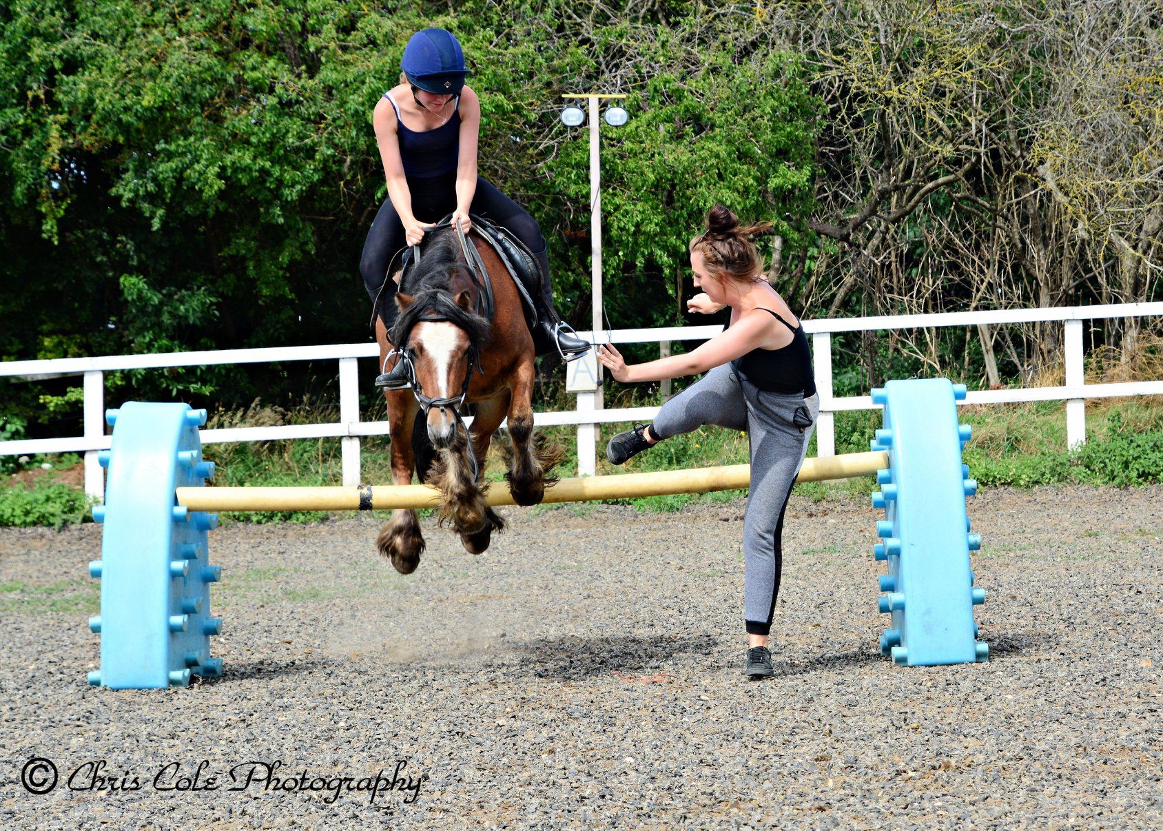 Horse Story: Pasha – Sunshine Riding School