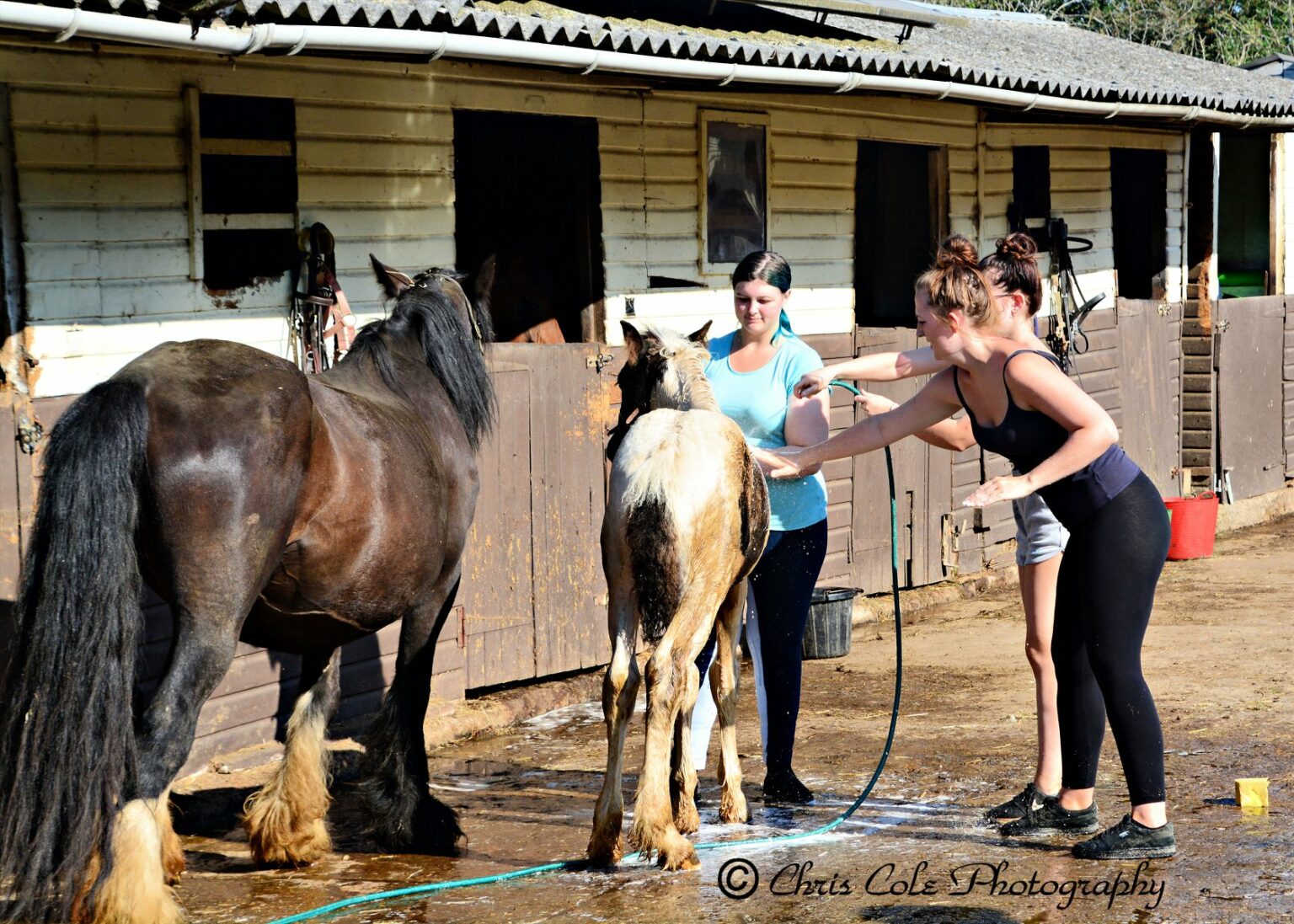 Horse Story: June Storm – Sunshine Riding School