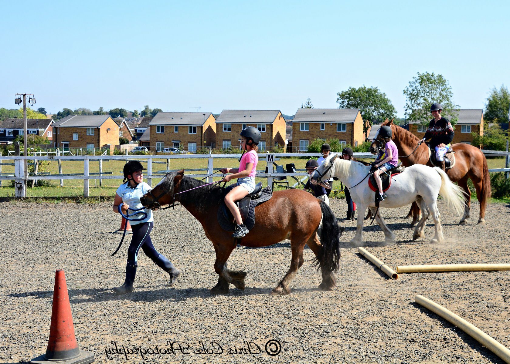 Horse Story: Pasha – Sunshine Riding School