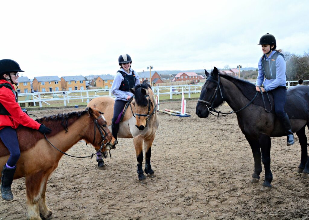 Horse Story: Henry – Sunshine Riding School
