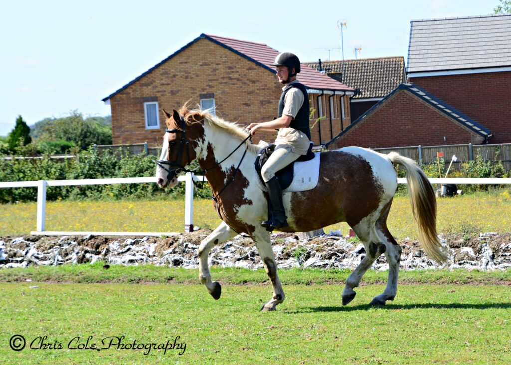 Adult Groom & Ride – Sunshine Riding School