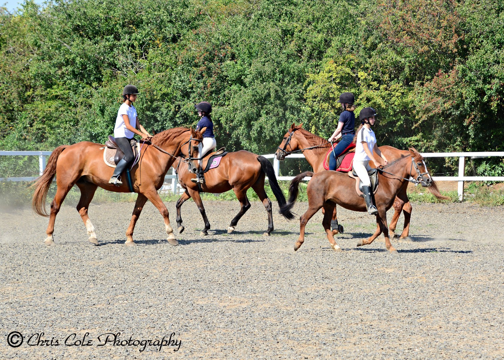 Horse Story: Callie – Sunshine Riding School