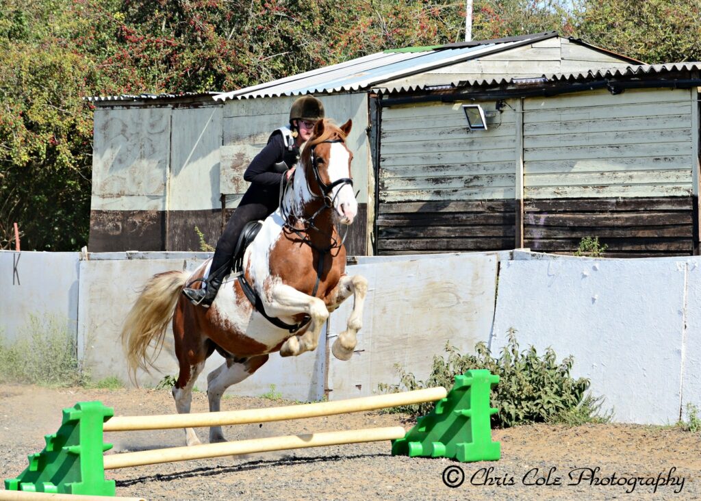 Sunshine Riding School – Riding is for Everyone
