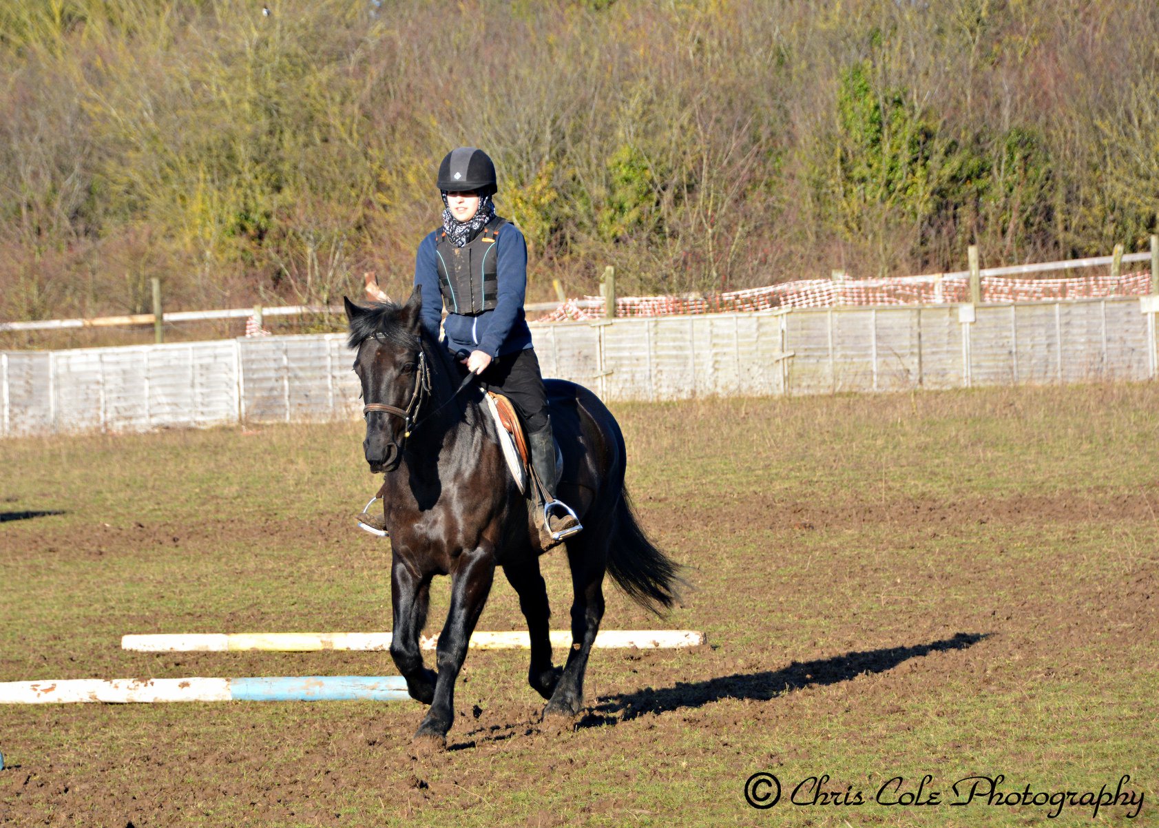 Horse Story: Henry – Sunshine Riding School
