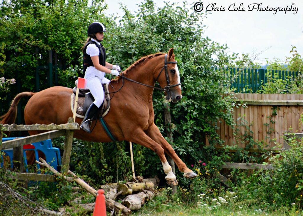 Horse History | Sunshine Riding School
