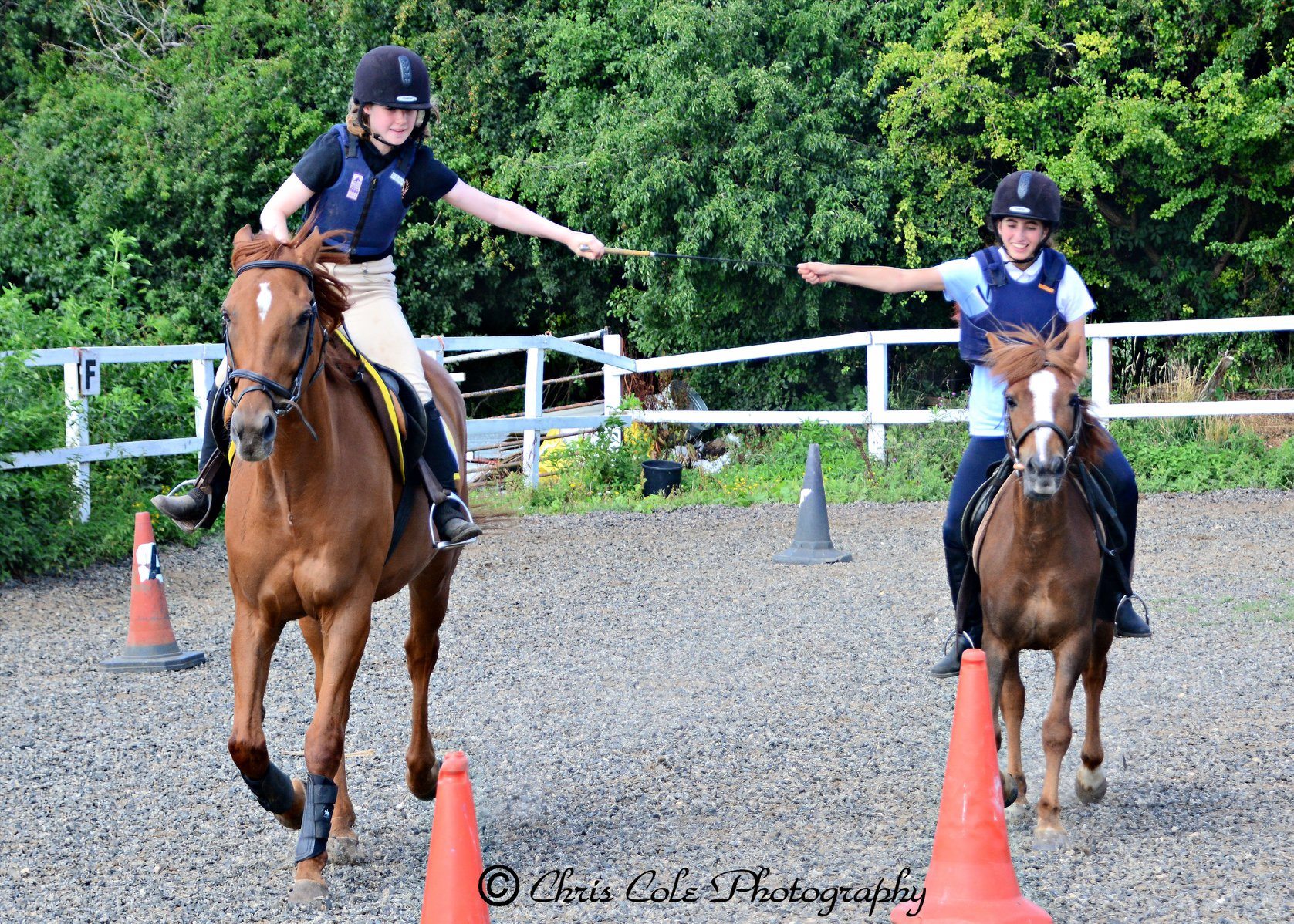 Horse Story: Tango – Sunshine Riding School