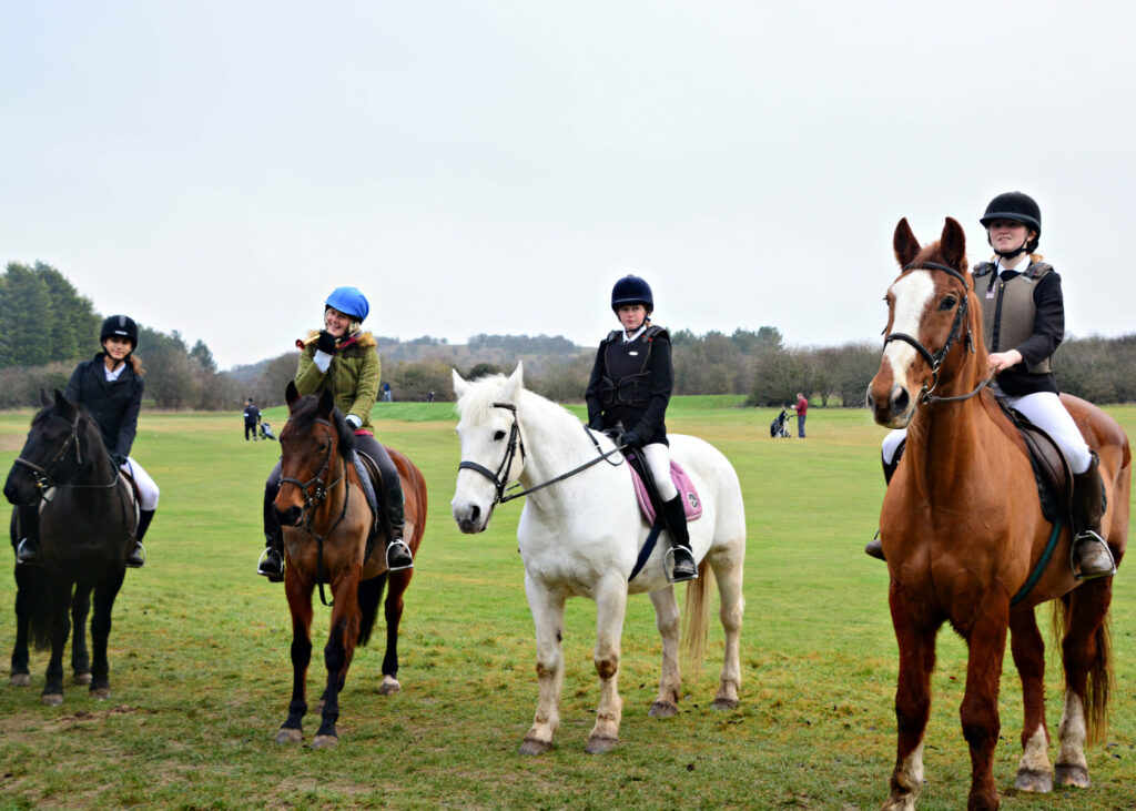 Horse Story: Pandora – Sunshine Riding School