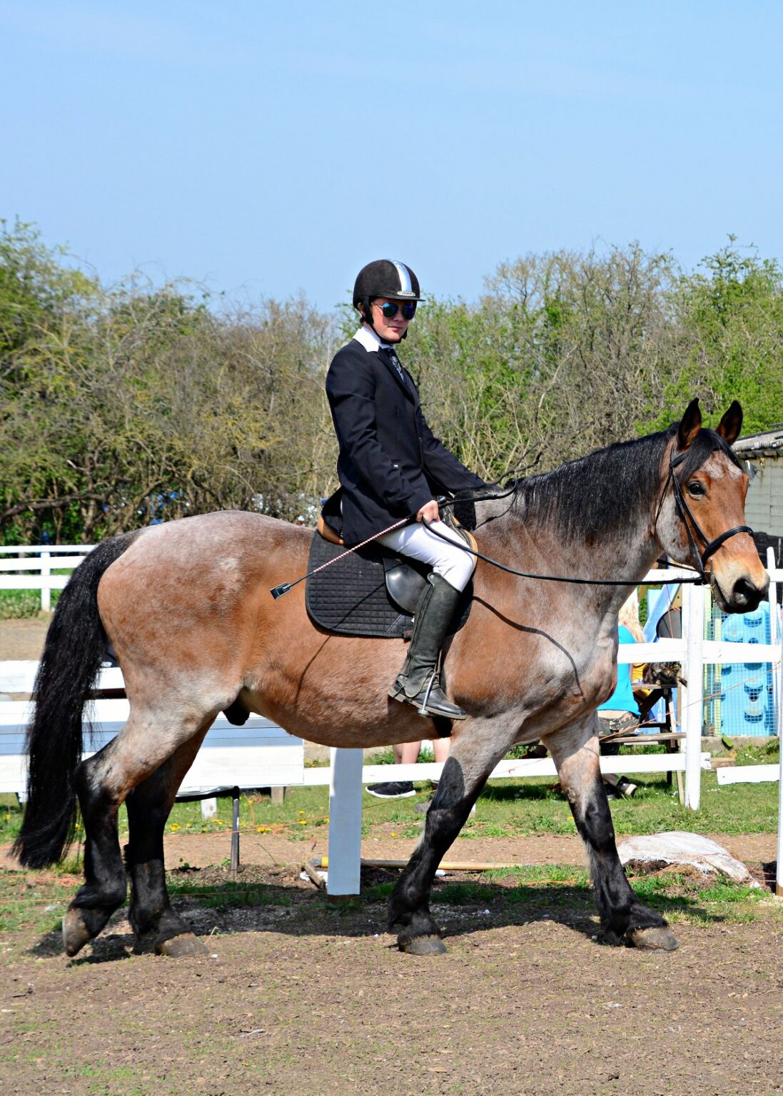 Adult Advanced Beginner Lessons – Sunshine Riding School