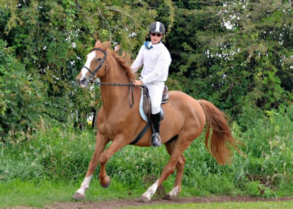 Sunshine Riding School – Riding is for Everyone