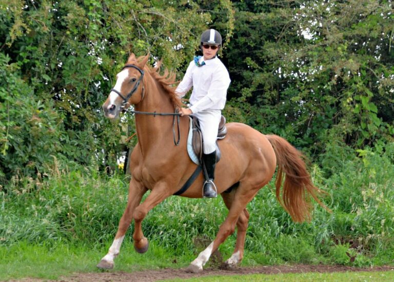 Sunshine Riding School – Riding is for Everyone