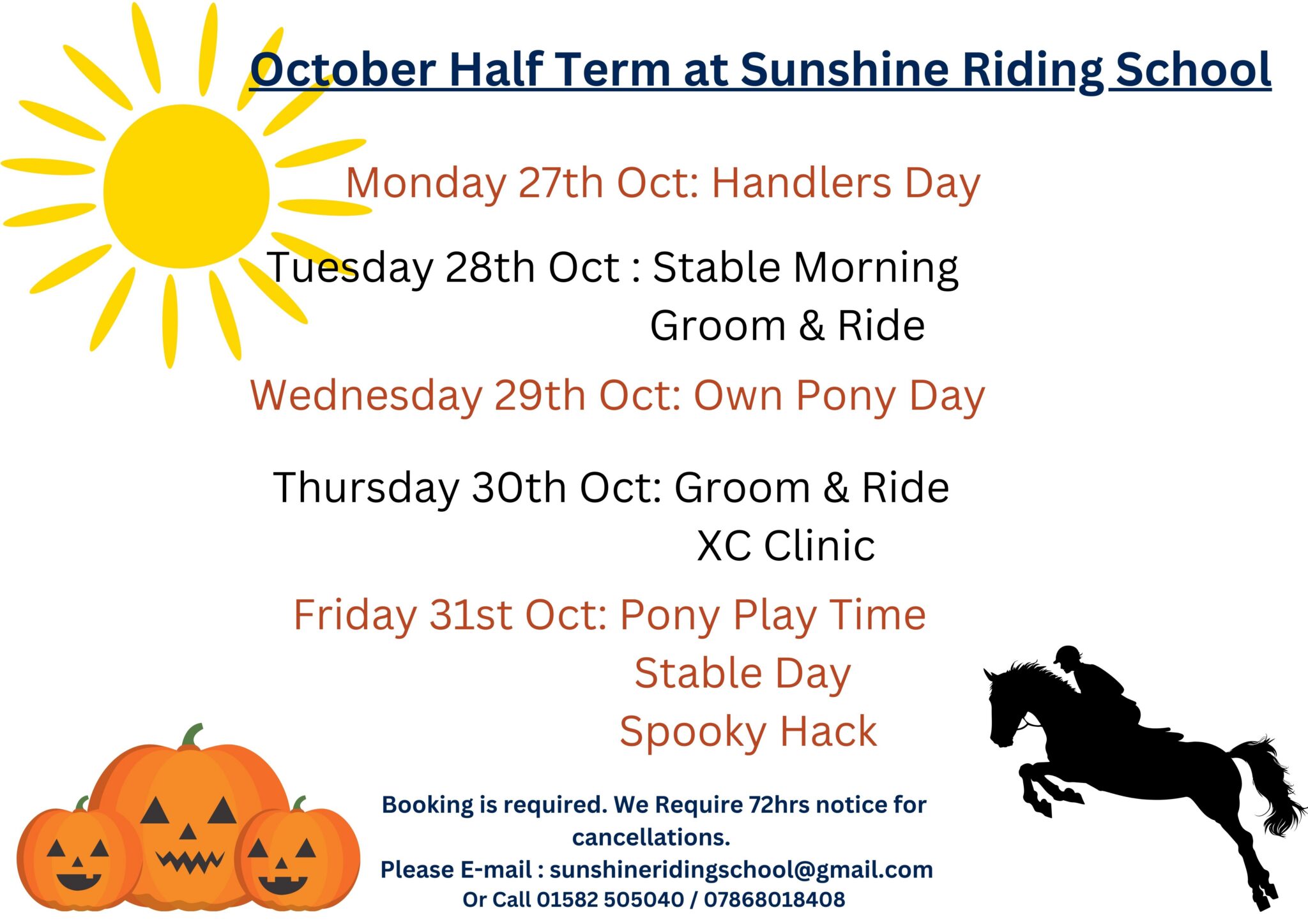 Sunshine Riding School – Riding is for Everyone